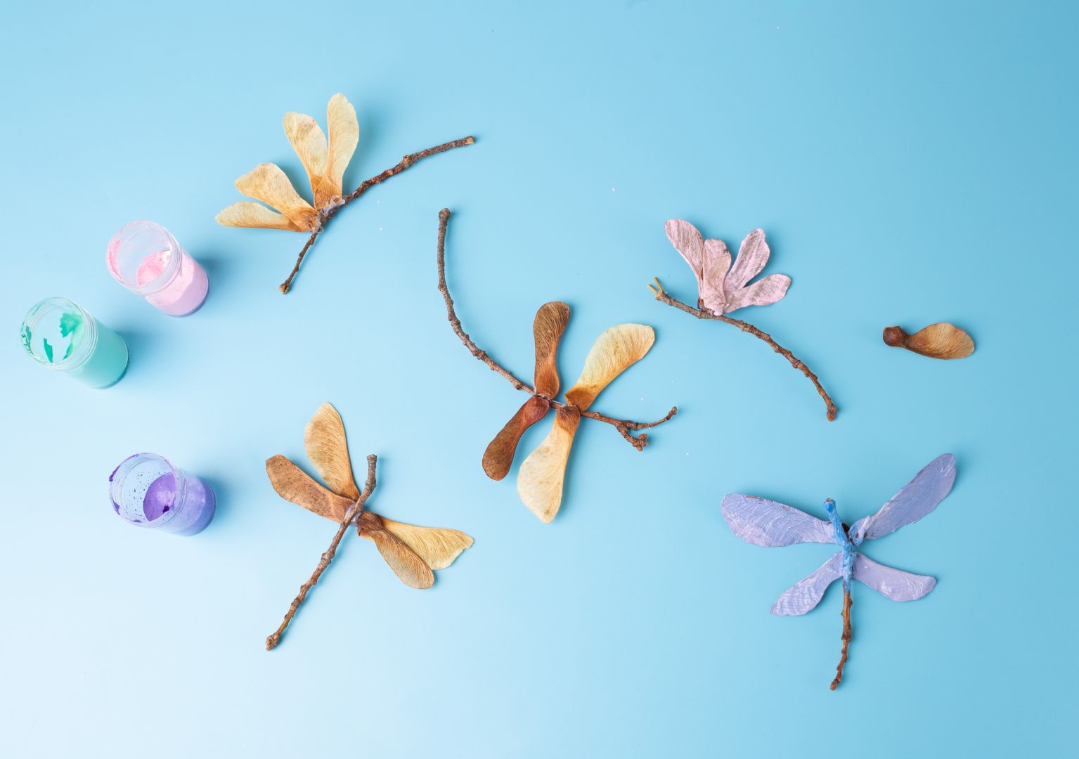 Для самых классных поделок: какие природные материалы пора собирать ...